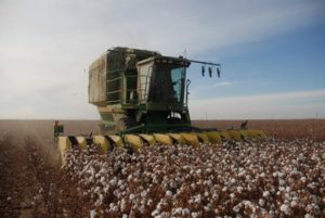 Home - Plainview EDC